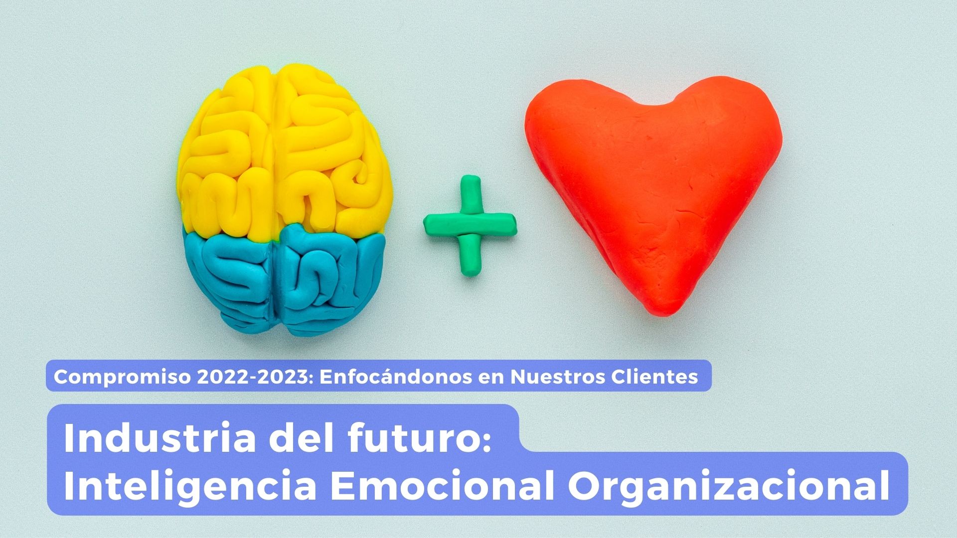 ¿Por qué la Inteligencia Emocional Organizacional es parte de la ...